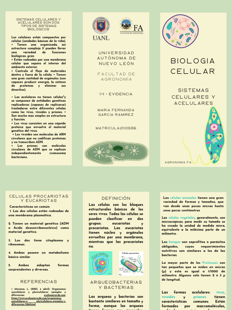 BIOCEL Tríptico 1.4 | PDF