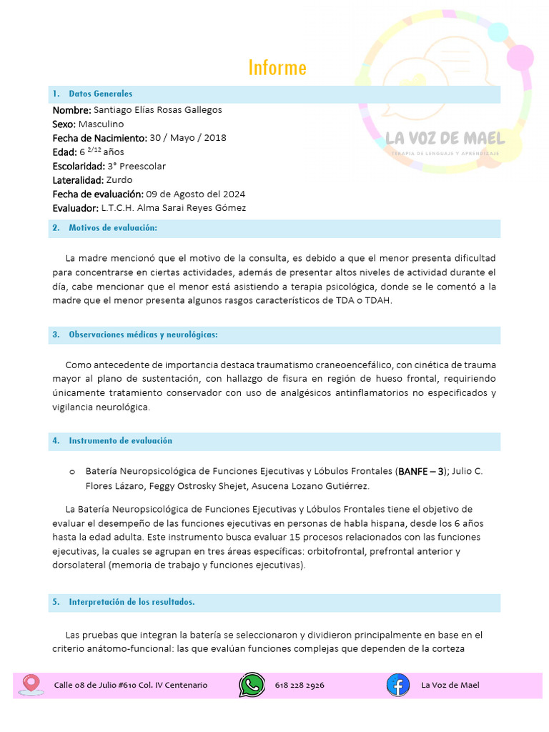 Informe de Resultados - BANFE-3 | PDF | Funciones ejecutivas ...