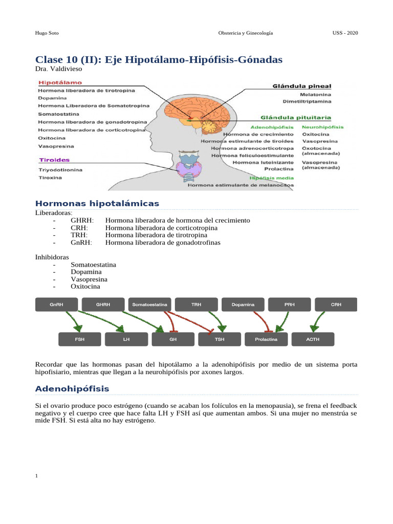 G_O - C(II)10 - Eje HHG | PDF