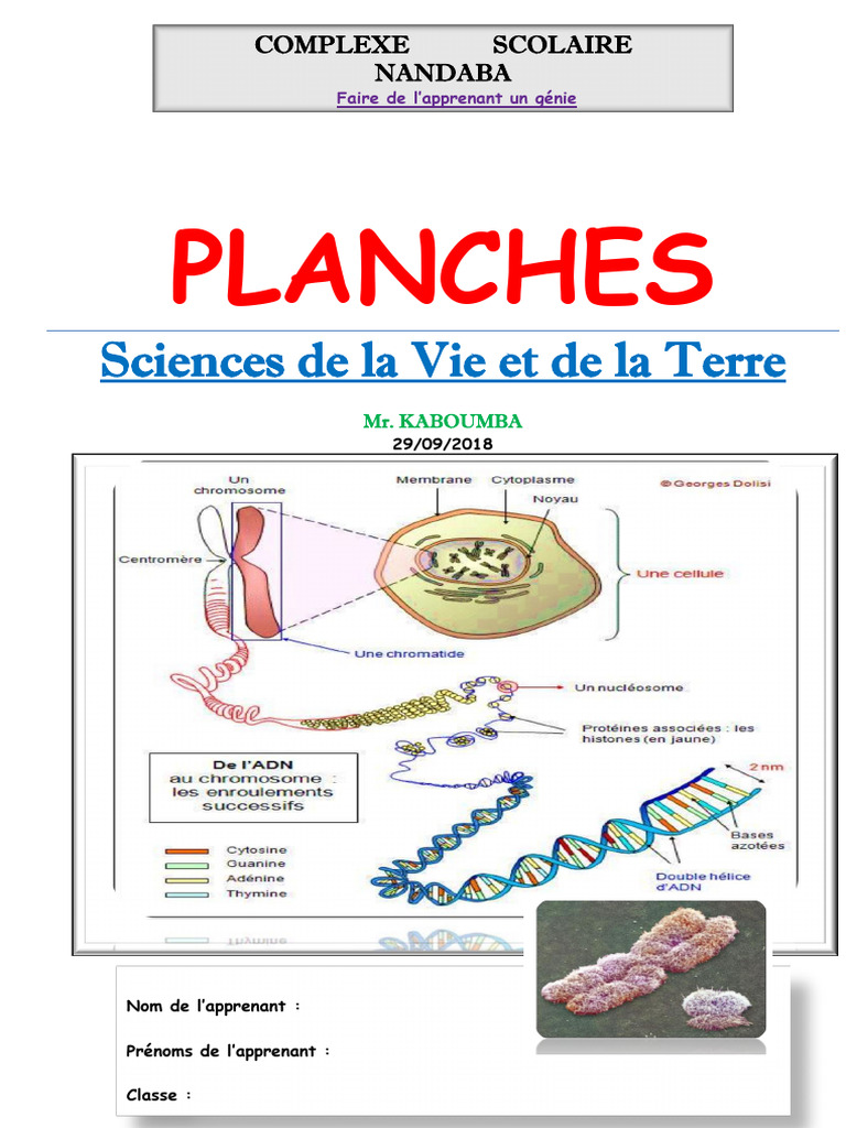 Planche Des Schémas Tles D 2018 - 2019 - 240330 - 011604 | PDF