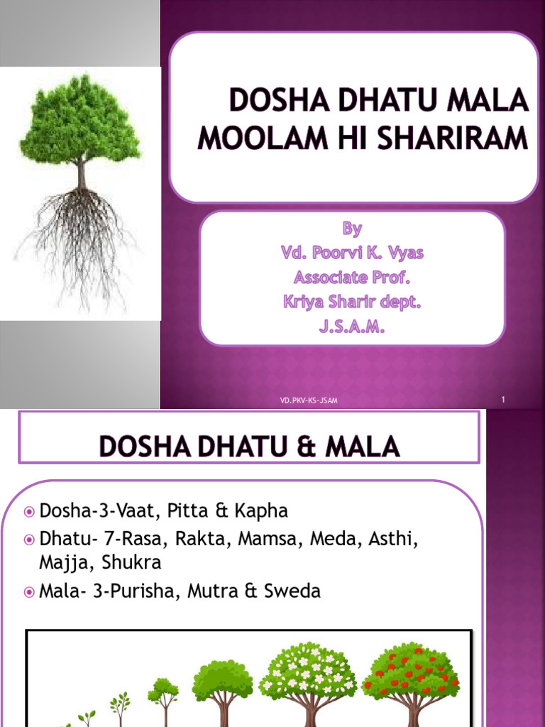 Dosha Dhatu Mala Mulam | PDF