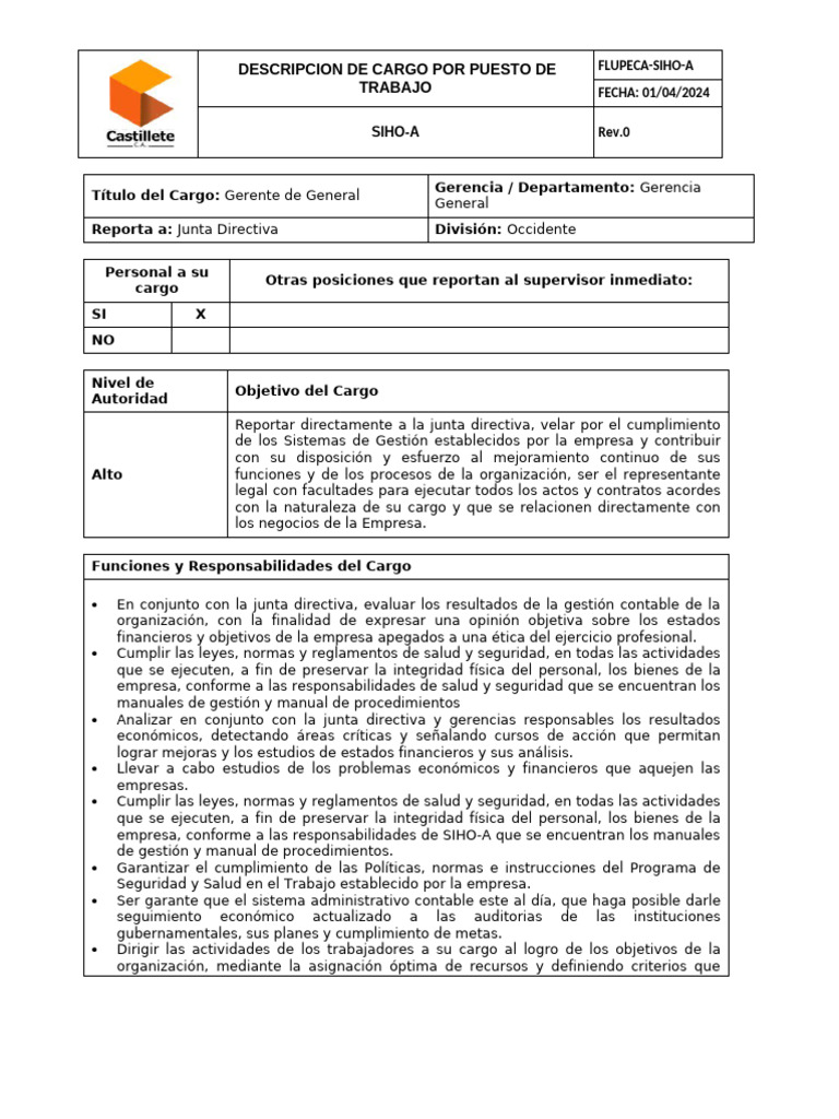 Descripción de Cargo Gerente General M | PDF