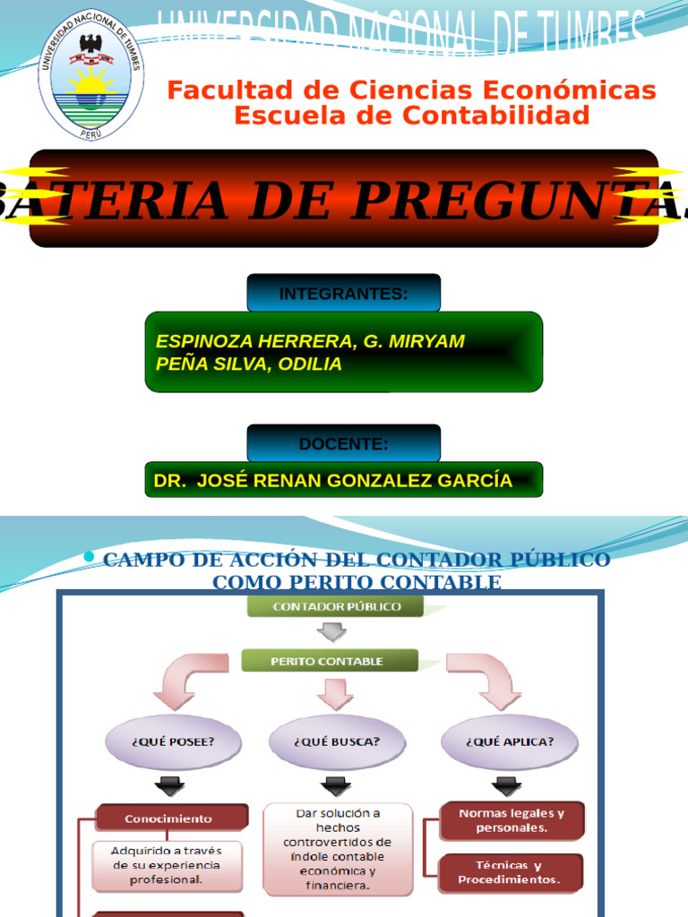 Peritaje Contable-Diapositivas | PDF