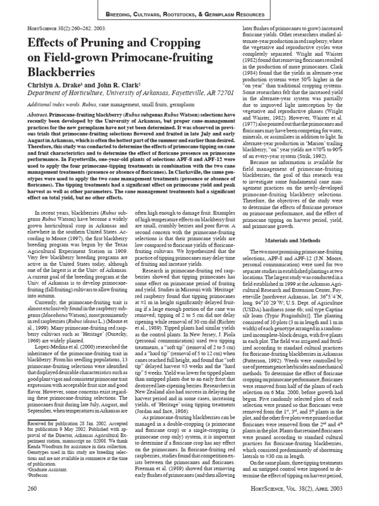 Clark 2003 Effects of Prunning in Primocane | PDF | Blackberry ...