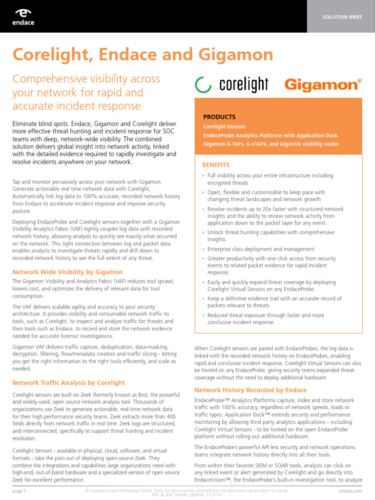 Endace Gigamon | PDF