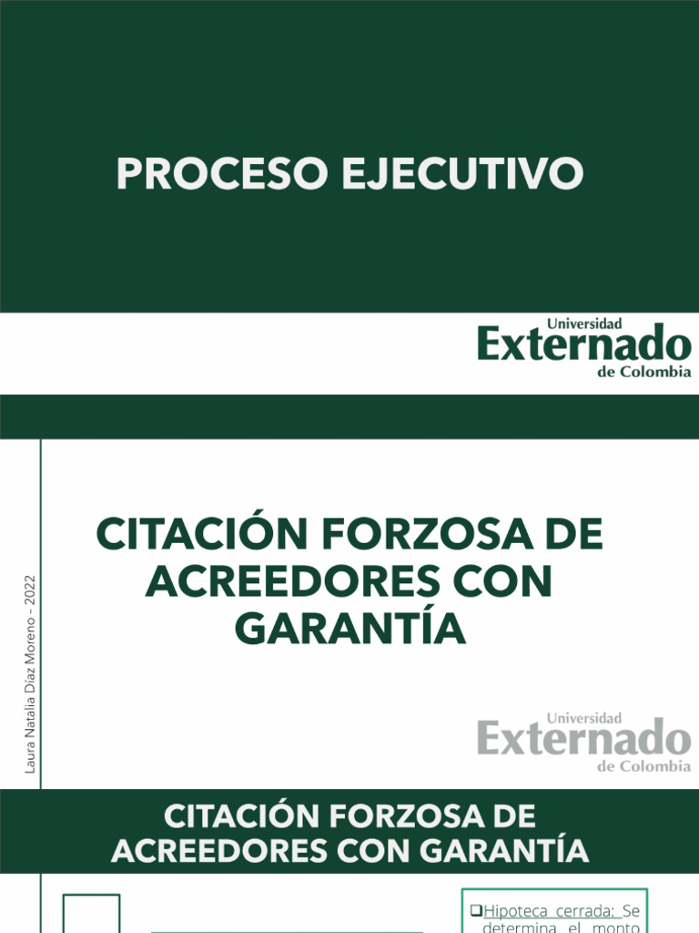 Proceso Ejecutivo Citación Acreedor Con Garantía Real y Concurrencia | PDF