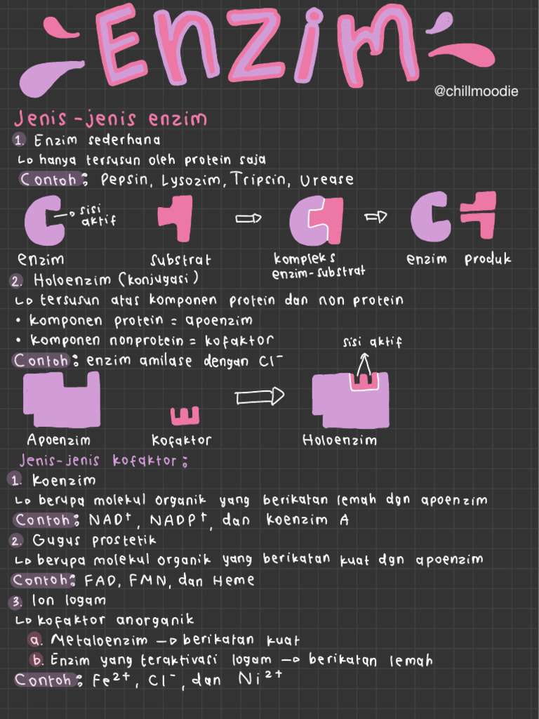 Enzim | PDF