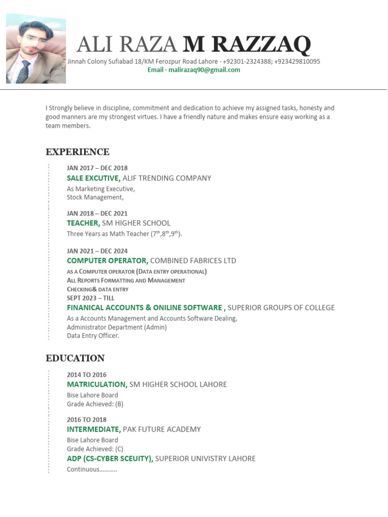 ALI RAZA M RAZZAQ CV | PDF