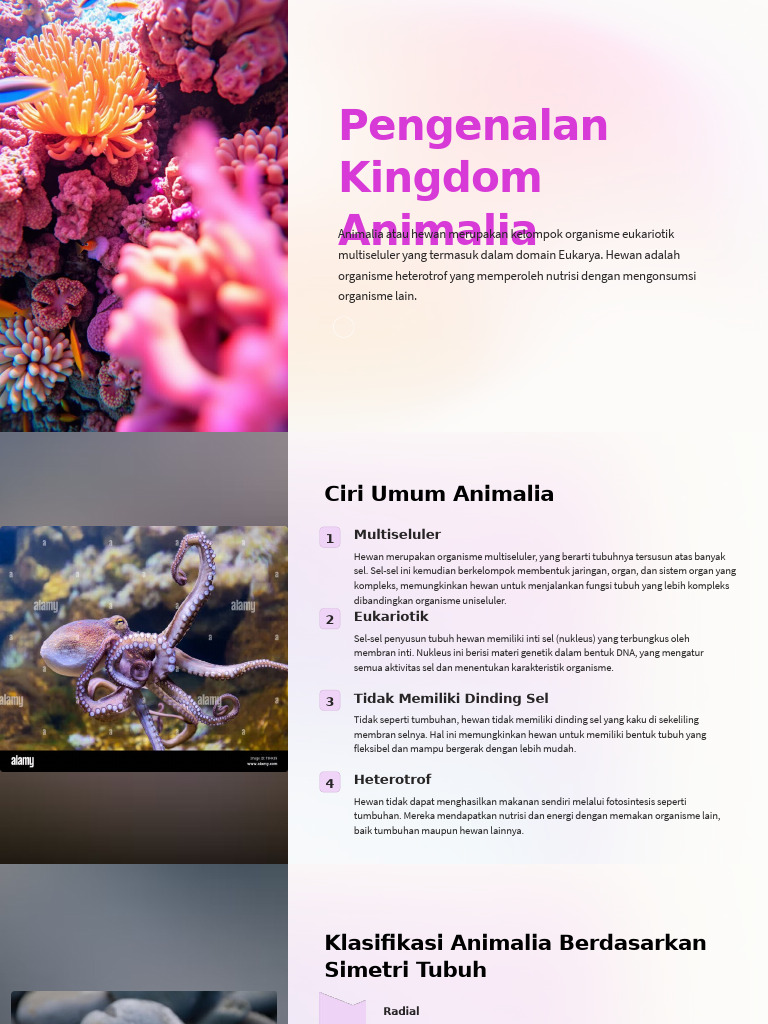 Pengenalan Kingdom Animalia | PDF