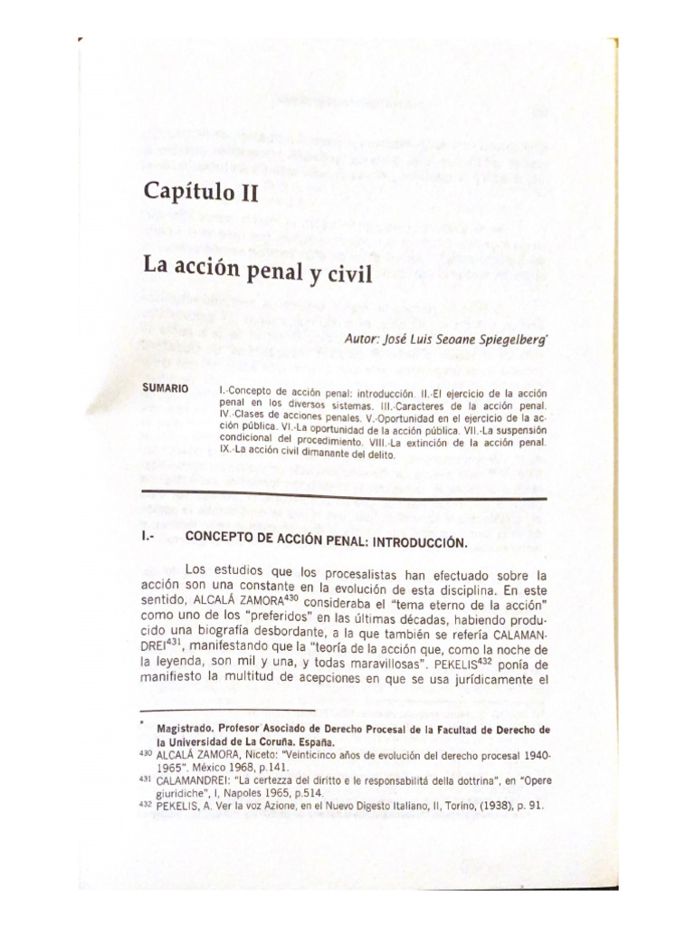 Libro de La Accion Penal | PDF