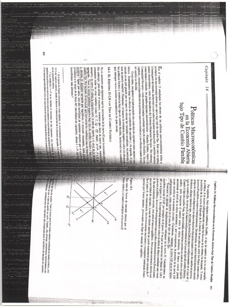 Capitulo 14 - Politicas Macroeconomicas en La Economia Abierta TC Flex - SYL | PDF