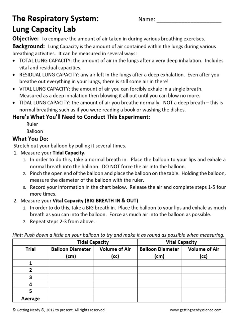 8 Respiratory System Lab | PDF