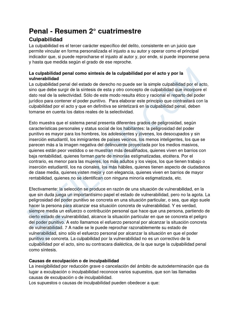 Resumen 2 Cuatri Penal | PDF