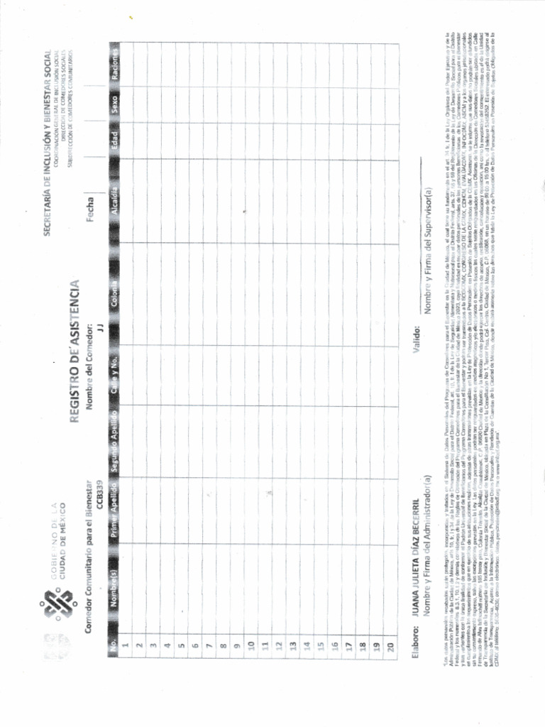 Formato Comedor | PDF