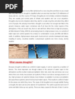 EVS Project Class 12 | PDF | Data | Science