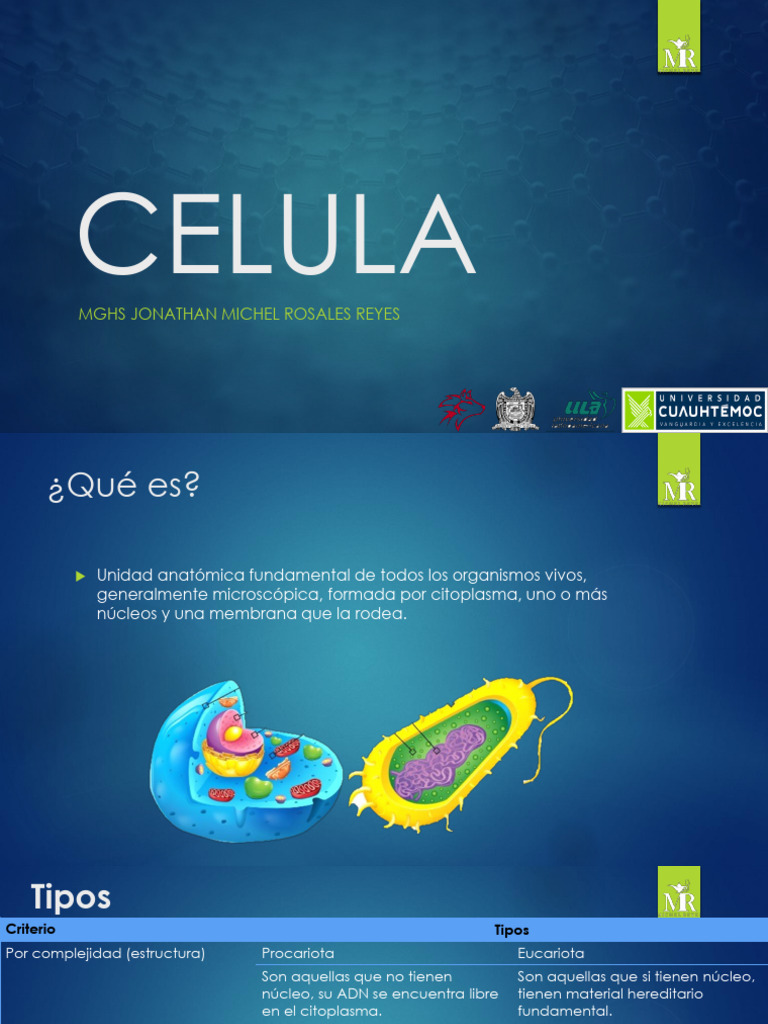 Celula | PDF