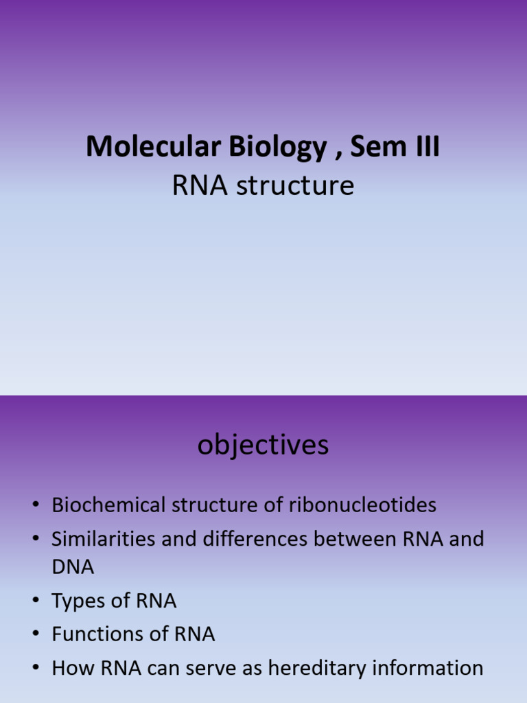 Mol Bio 3 | PDF