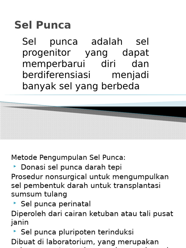 Sel Punca | PDF