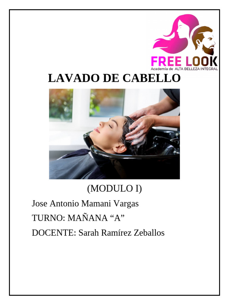 Lavado de Cabello | PDF