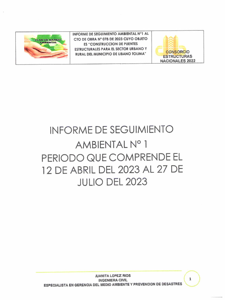 Informe Ambiental | PDF