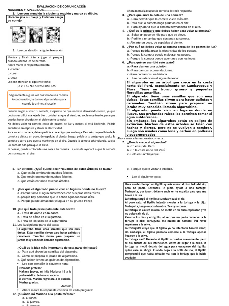 Evaluación de Comunicación ECE 2010 | PDF