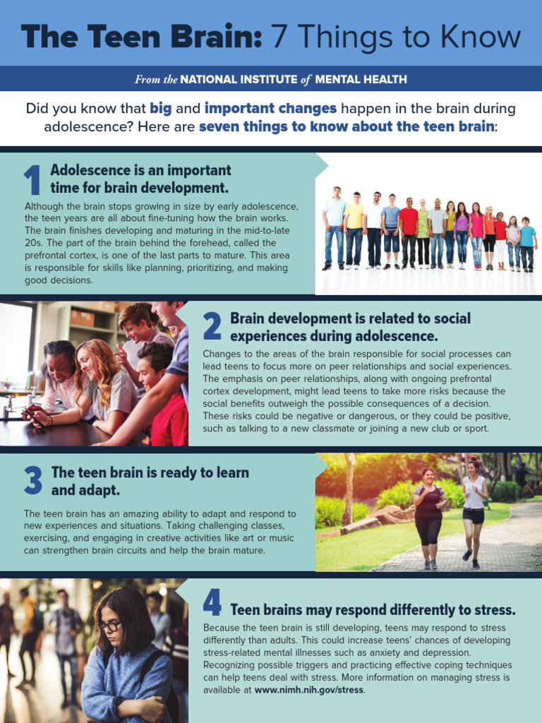 Teen Brain 7 Things To Know | PDF | Adolescence | Self-Improvement