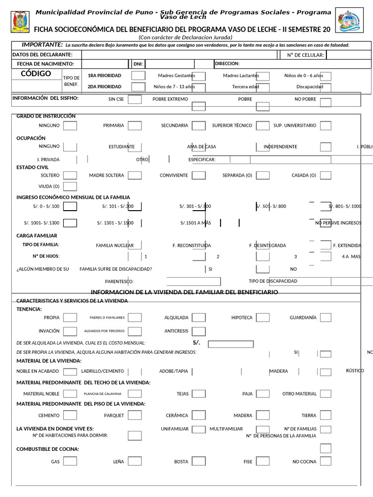 Ficha Socioeconómica Del Beneficiario de PVL - Ii Semestre 2024 Ok | PDF