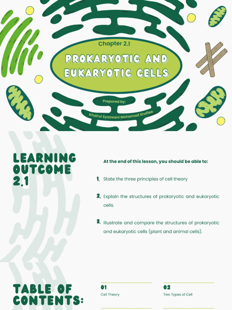 Chapter 2.1 Eukaryotes and Prokaryotes | PDF
