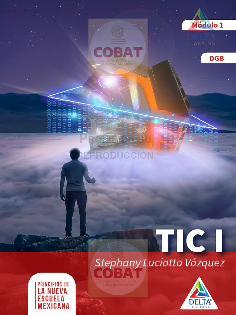 LIBRO TIC - Modulo1 | PDF | Bibliografía | Negocios