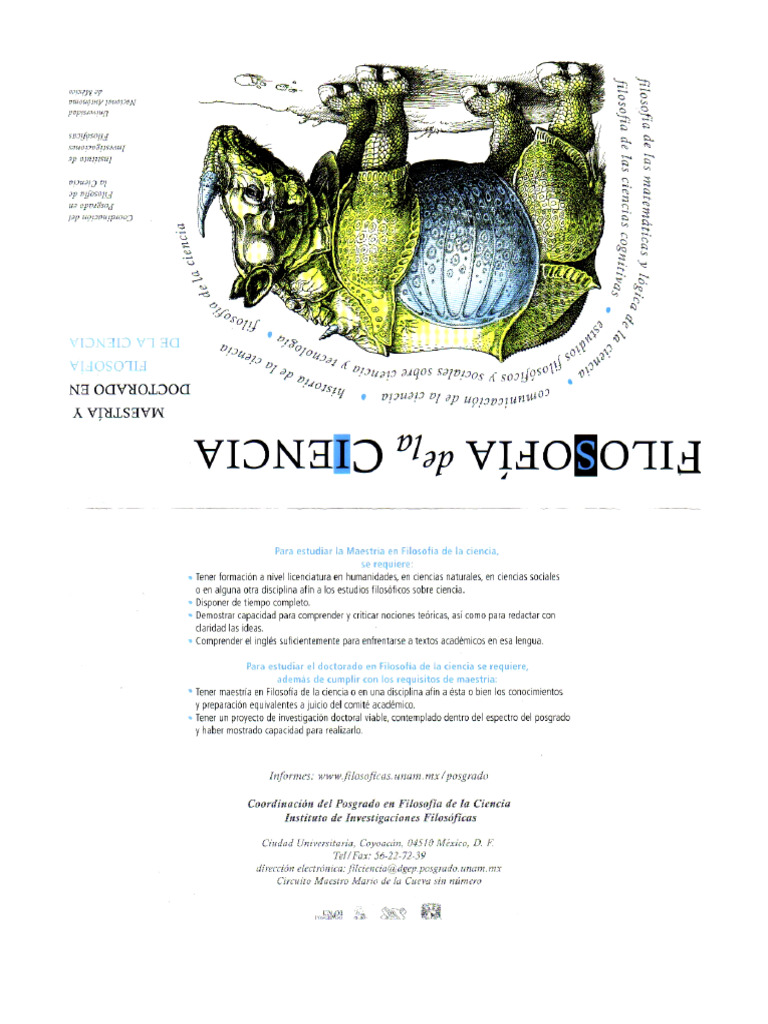 Triptico Inf FC | PDF