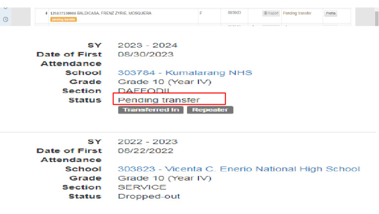 Frenz Zyrie Issue | PDF