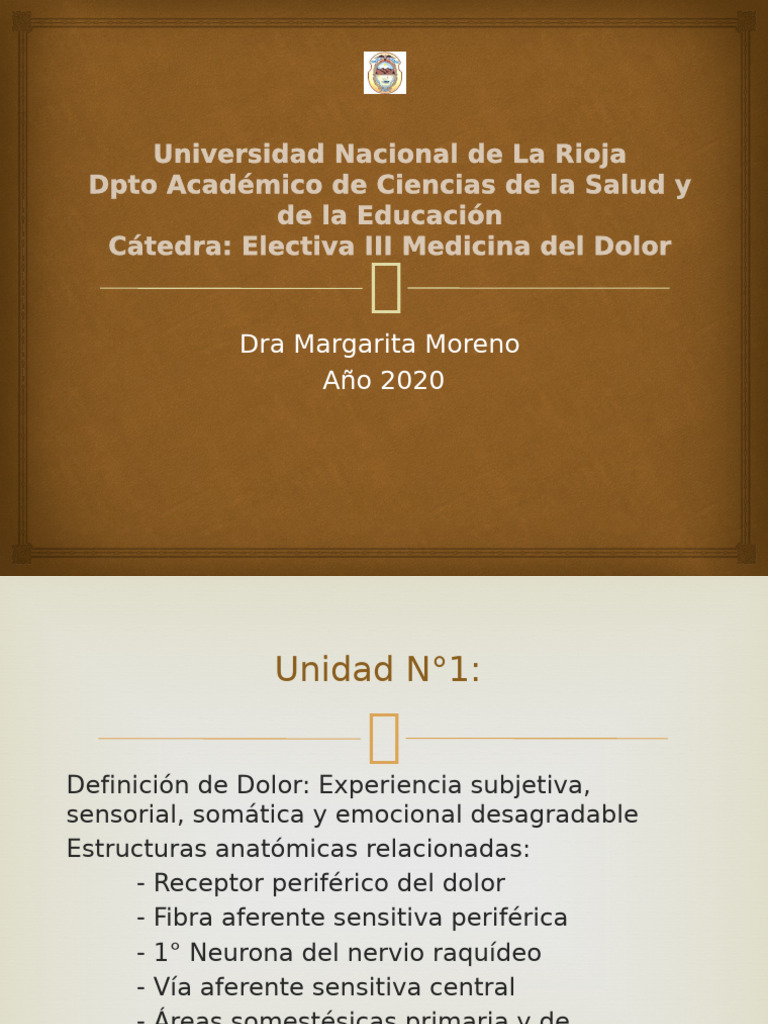 Unidad 1 Dolor | PDF