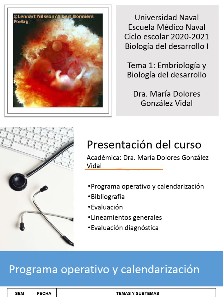 Embriología Diapos | PDF