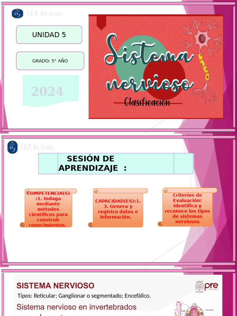 SESION DE APRENDIZAJE 5° AÑO - SISTEMA NERVIOSO | PDF