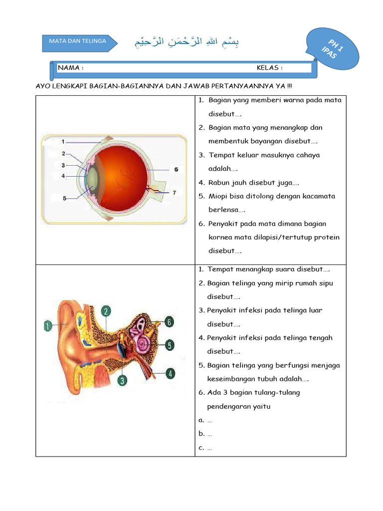 PH1 Ipas Kelas 4 2425 | PDF