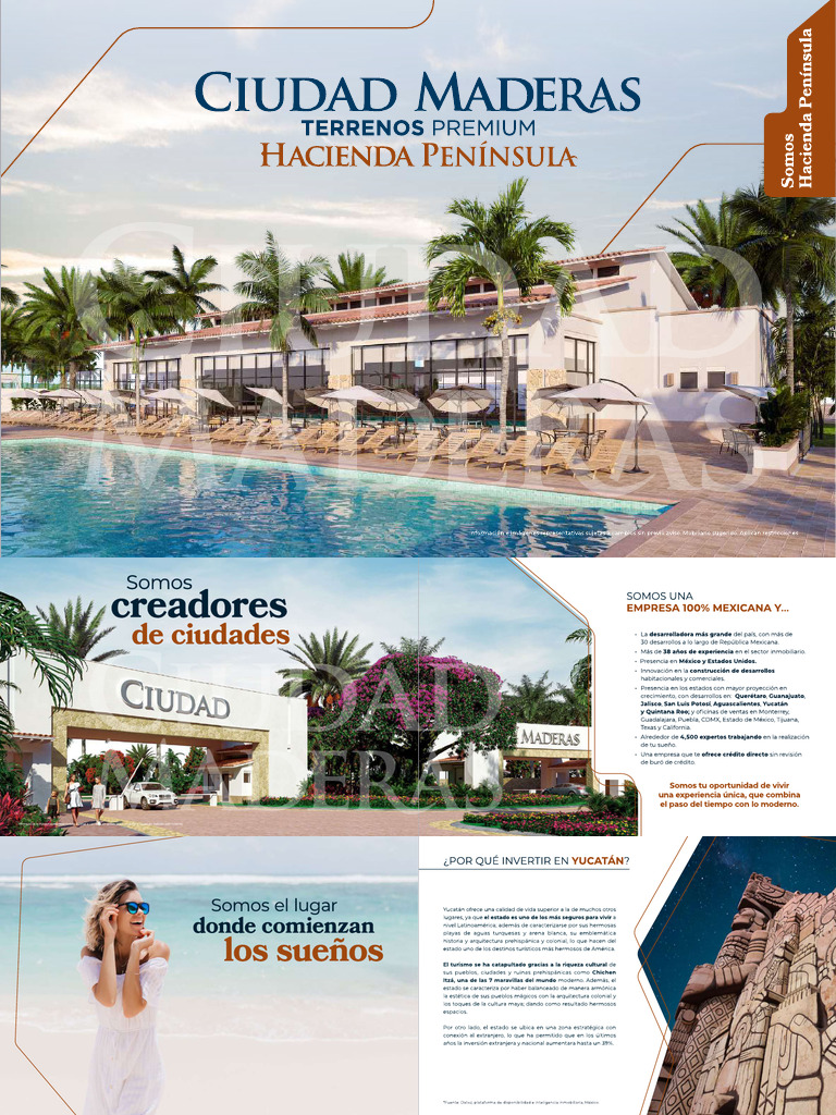 Brochure HM Comprimido | PDF
