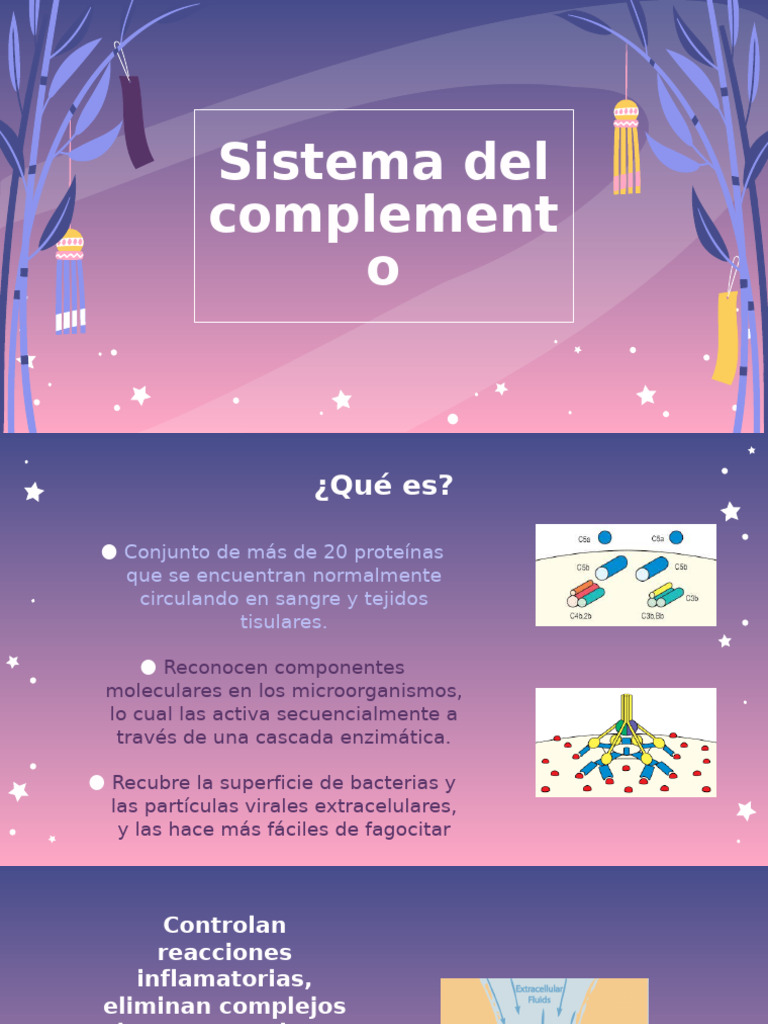 Sistema Del Complemento | PDF
