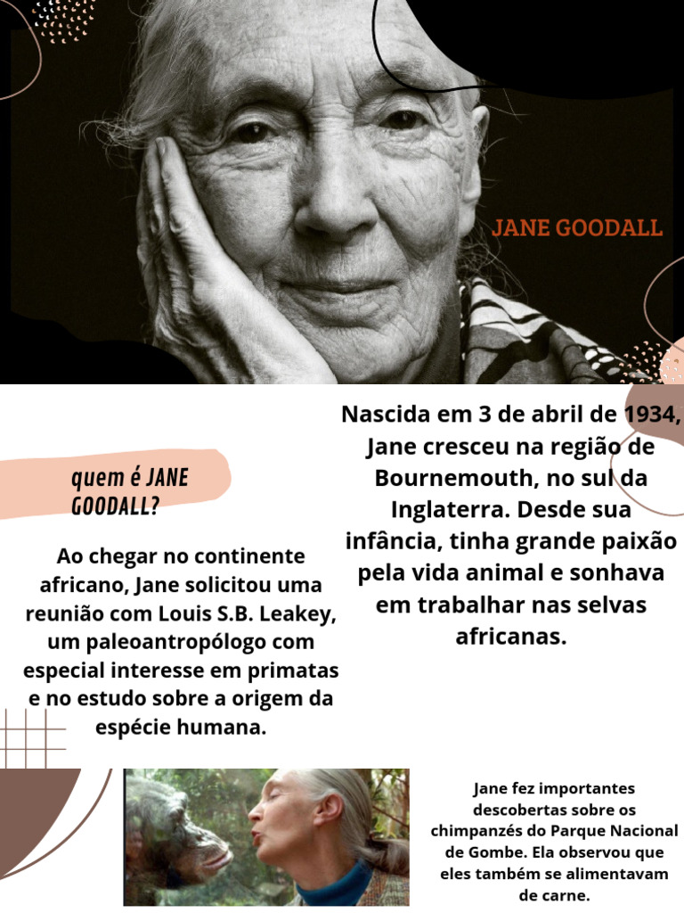 Dá Uma Olhada No Design Que Eu Fiz No Canva! | PDF