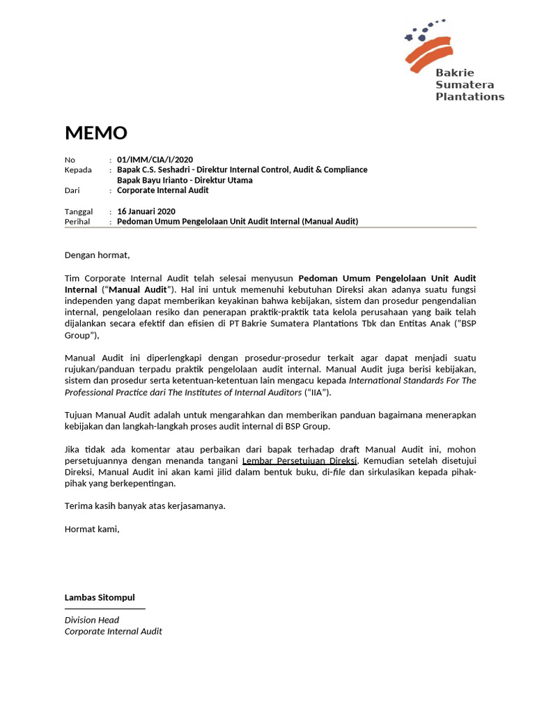 01-IMM-CIA-I-2020 Internal Memo - Manual Audit | PDF