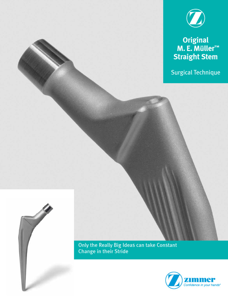Muller Stem | PDF