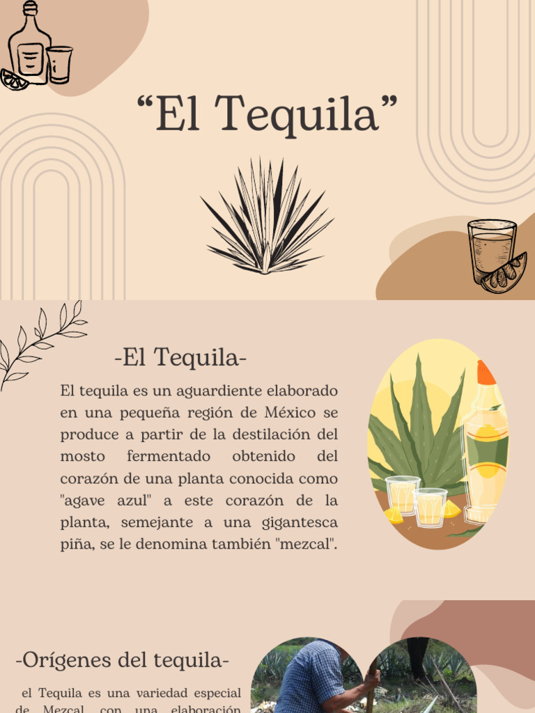 Presentacion de Tequila | PDF | Bebidas Fermentadas | Bebidas alcohólicas