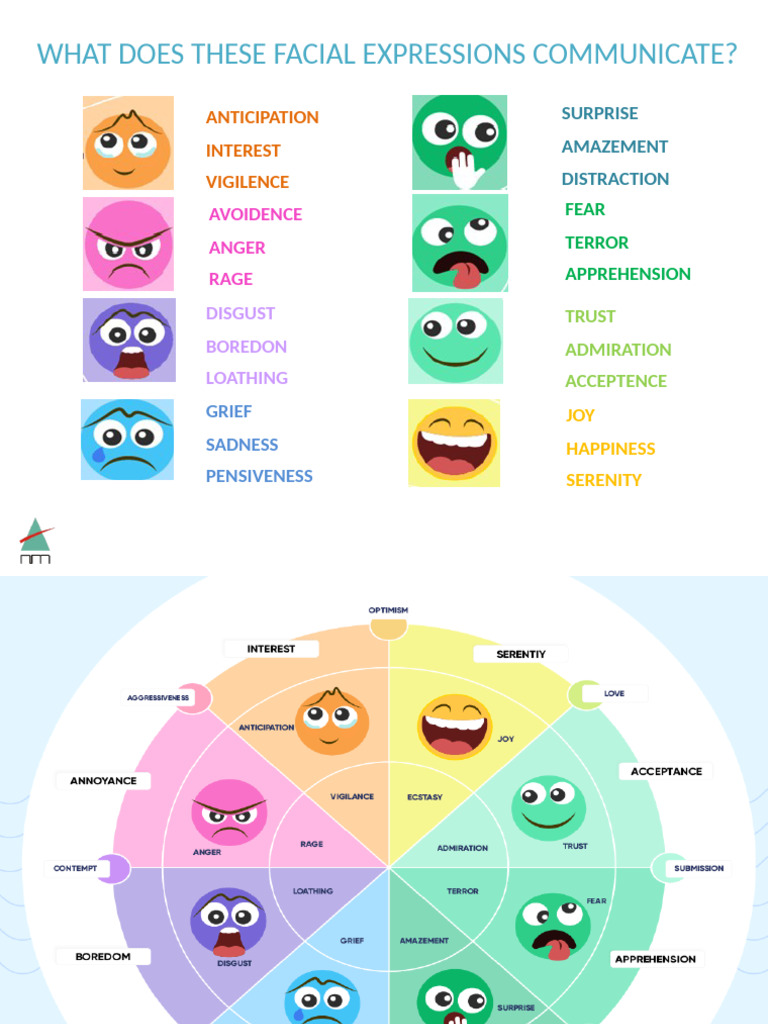 Body Language & Communication | PDF