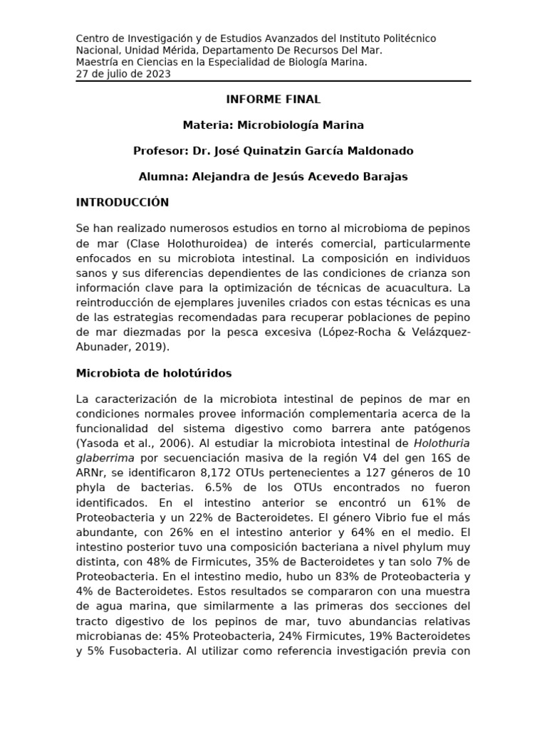 Informe Final Micro | PDF