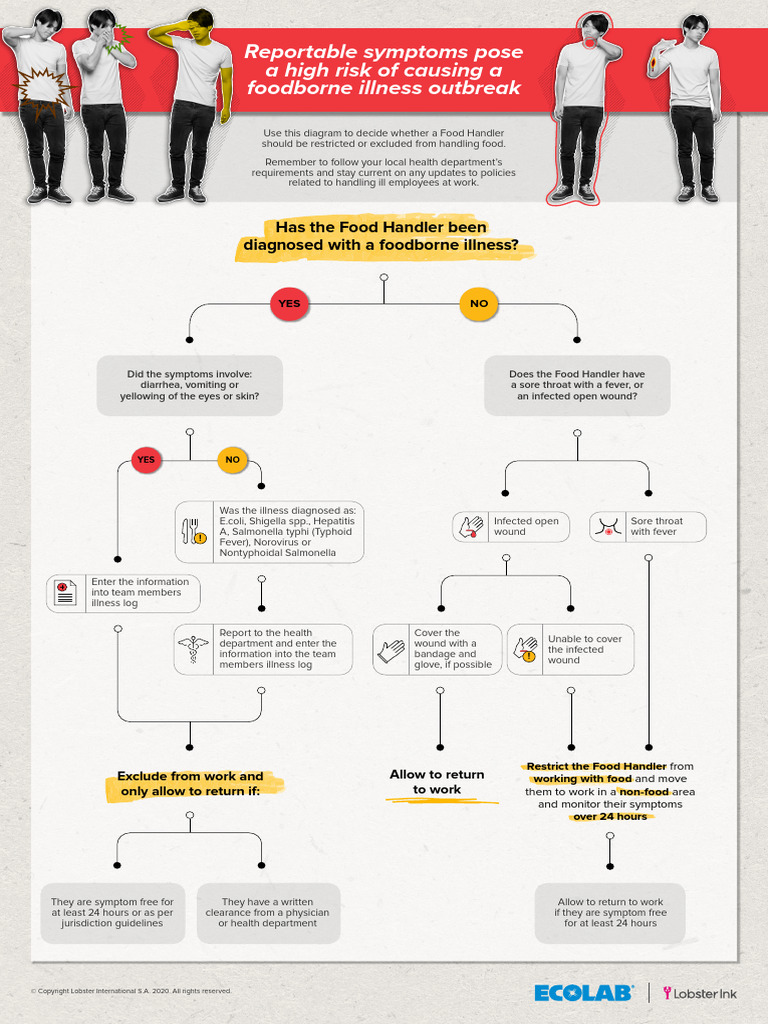 23 2 Food Handler Illness Infographic | PDF