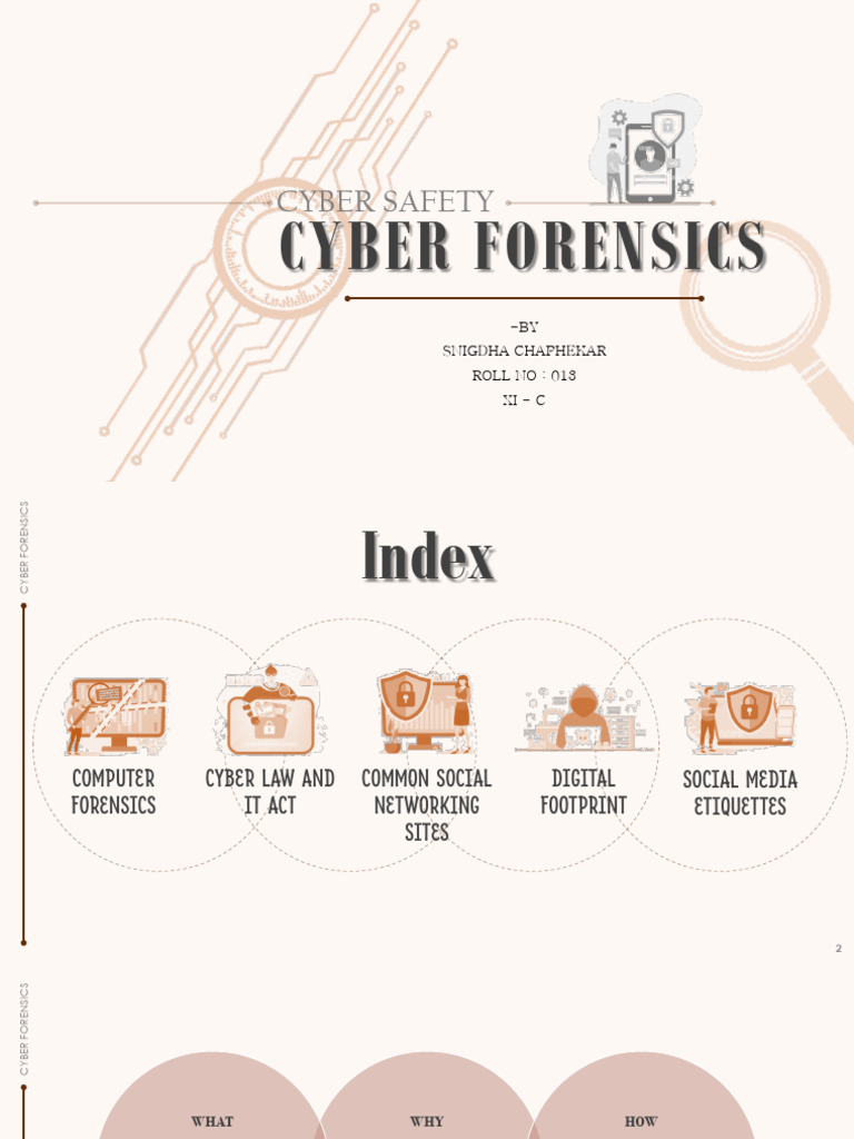 Cyber Security Class 11 | PDF