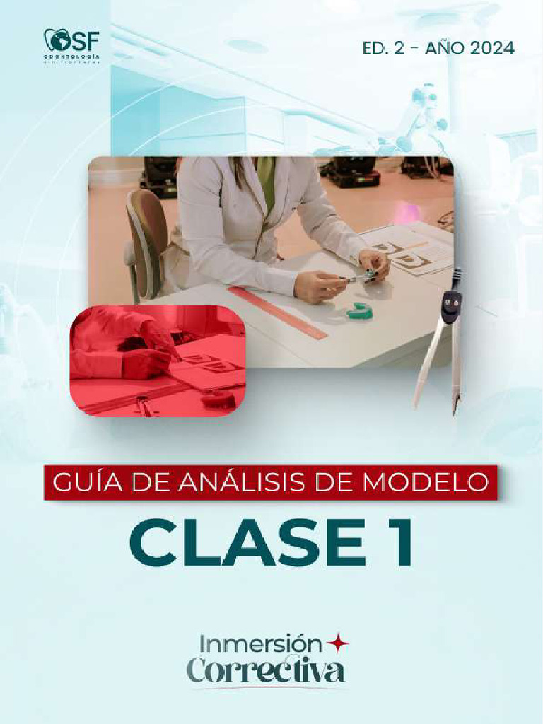LI17 MATERIAL CLASE 1 GUÍA DE ANÁLISIS DE MODELO Compressed | PDF