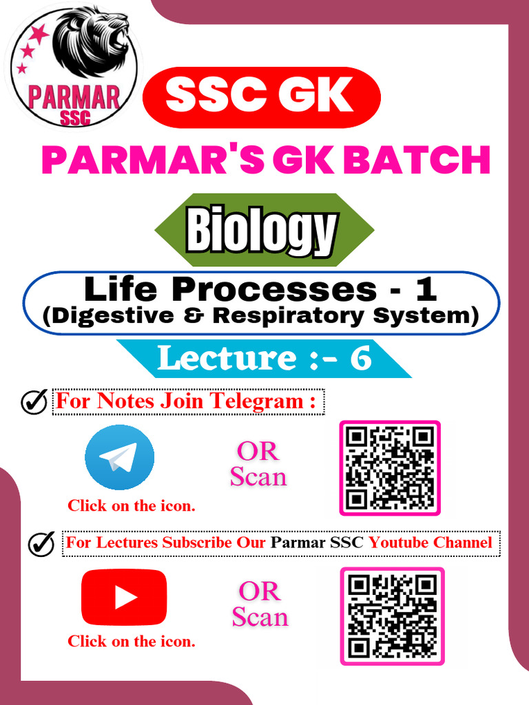 045 Life Process Digestion & Respiration Science Biology | PDF