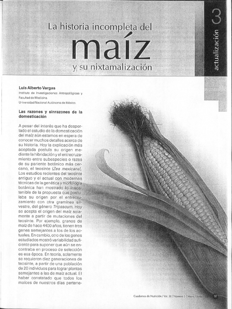 Historia Del Maiz | PDF
