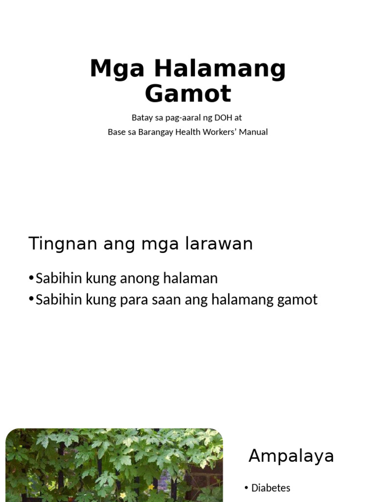 Mga Halamang Gamot | PDF