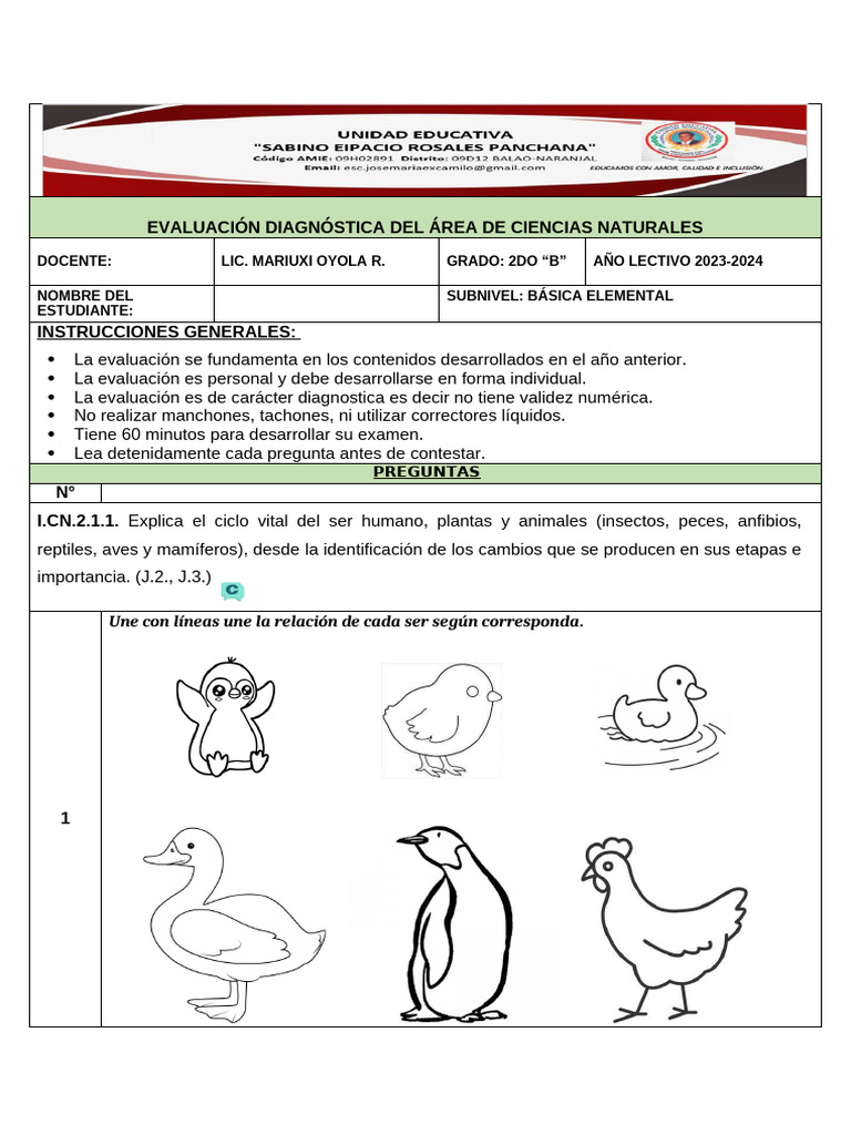 2do - CCNN - Evaluacion - Diagnóstica | PDF